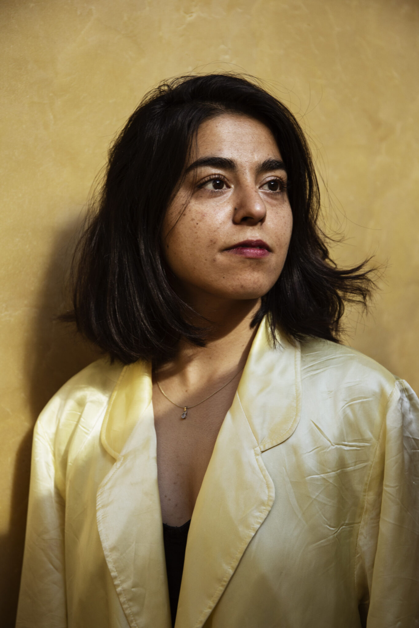 Narges Mohammadi – Framer Framed