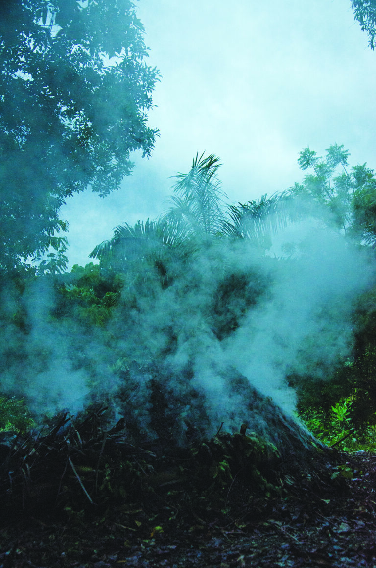 The Kazal Project: Tracing the Memory Through the Haitian Gaze – Framer ...